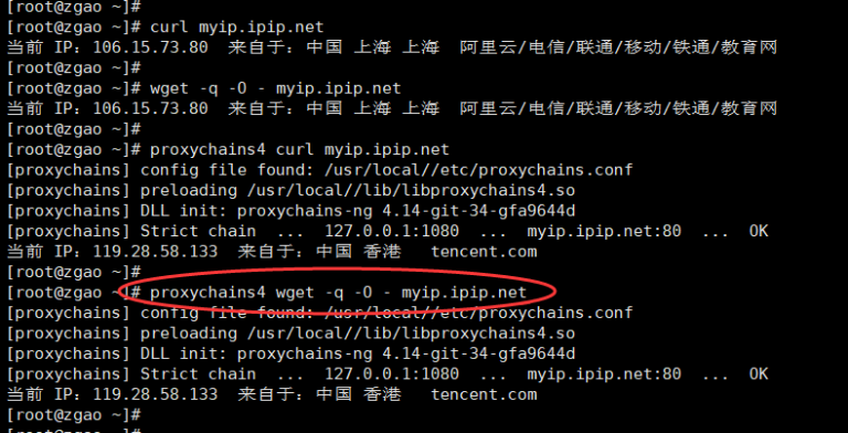 Linux使用Proxychains实现终端代理 – Zgao's blog
