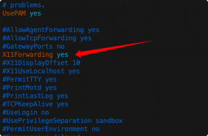 使用ssh客户端的X11-forwarding在远程linux主机上运行GUI程序 – Zgao's blog